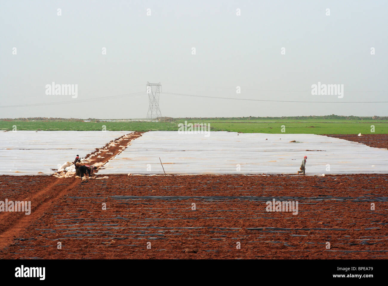 Developing country farming hi-res stock photography and images - Alamy