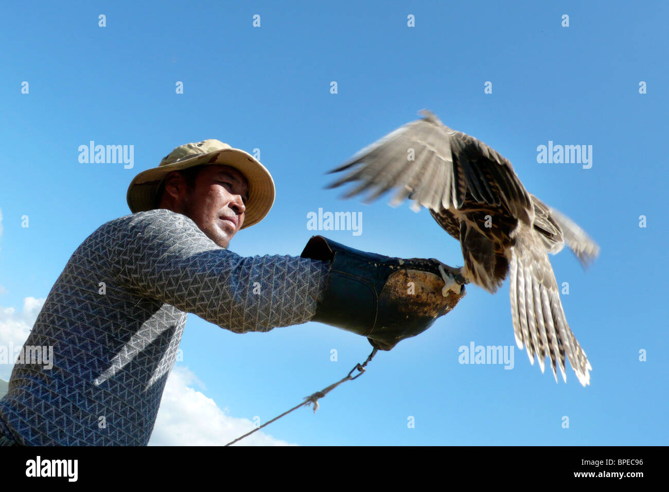 Man with hawk, Terelji, Mongolia Stock Photo - Alamy