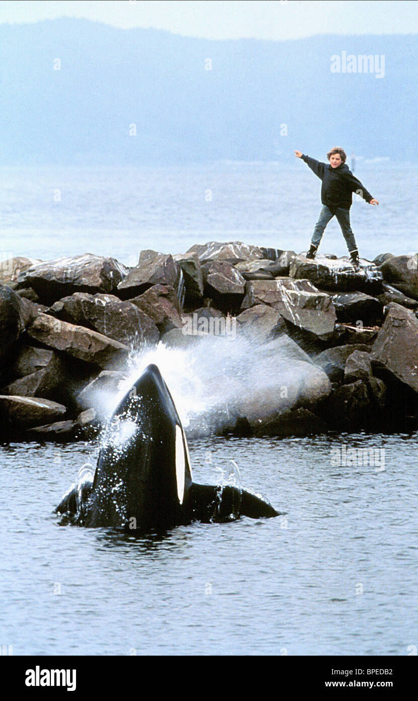Free Willy High Resolution Stock Photography and Images - Alamy