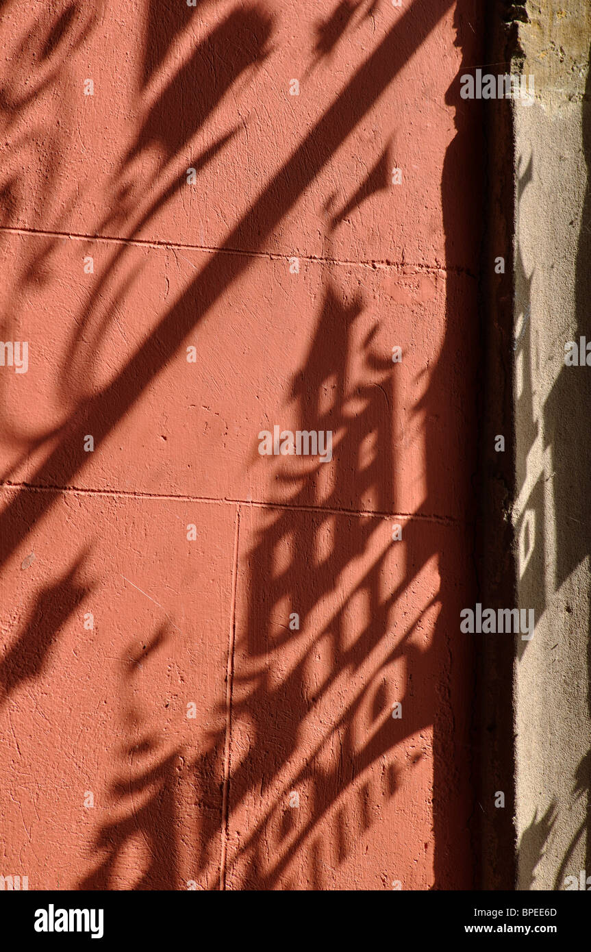 Shadows from the east window of St. Peter and St. Paul Church, Preston ...