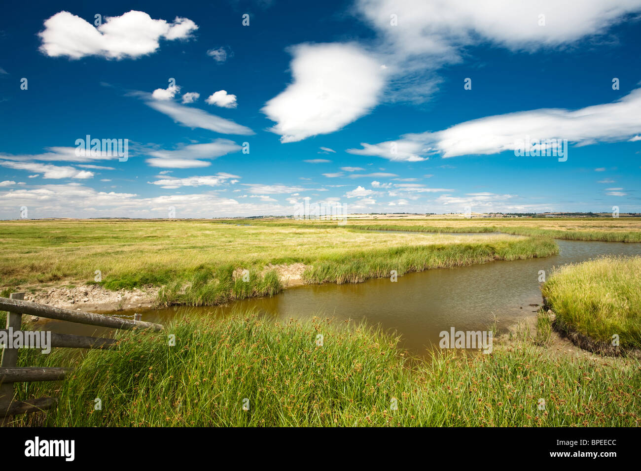 Creeks at Elmley Marshes Nature Reserve on the Isle of Sheppey, Kent ...