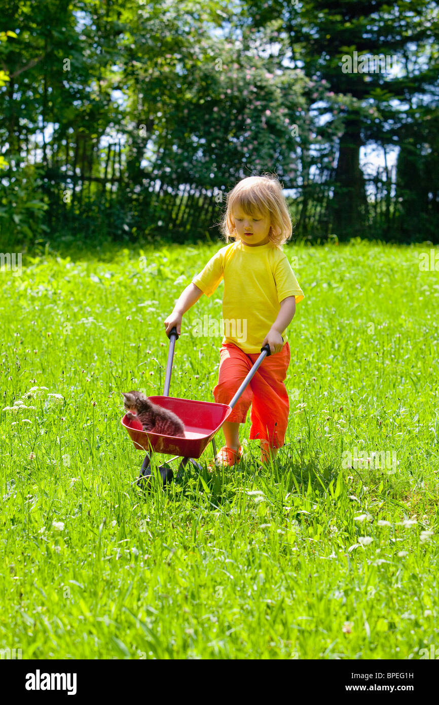 blond boy playing with kitten in wheelbarrow outdoors Stock Photo - Alamy