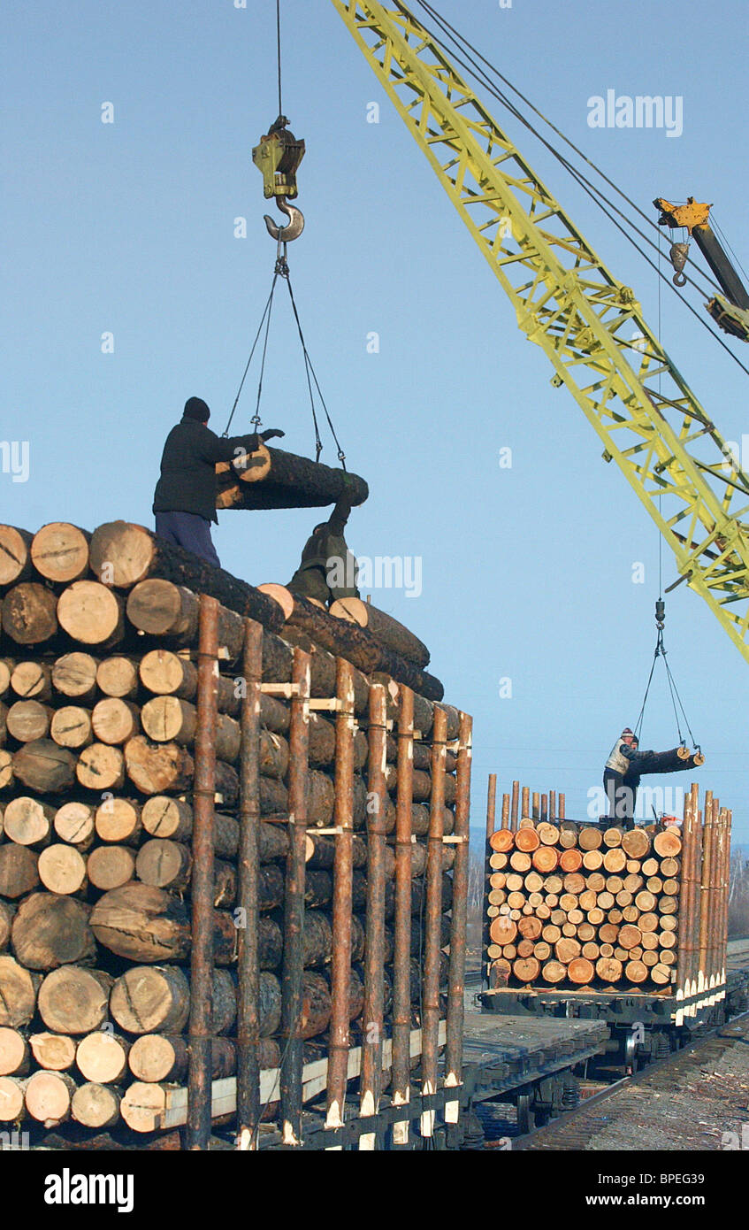 Loading Timber High Resolution Stock Photography and Images - Alamy