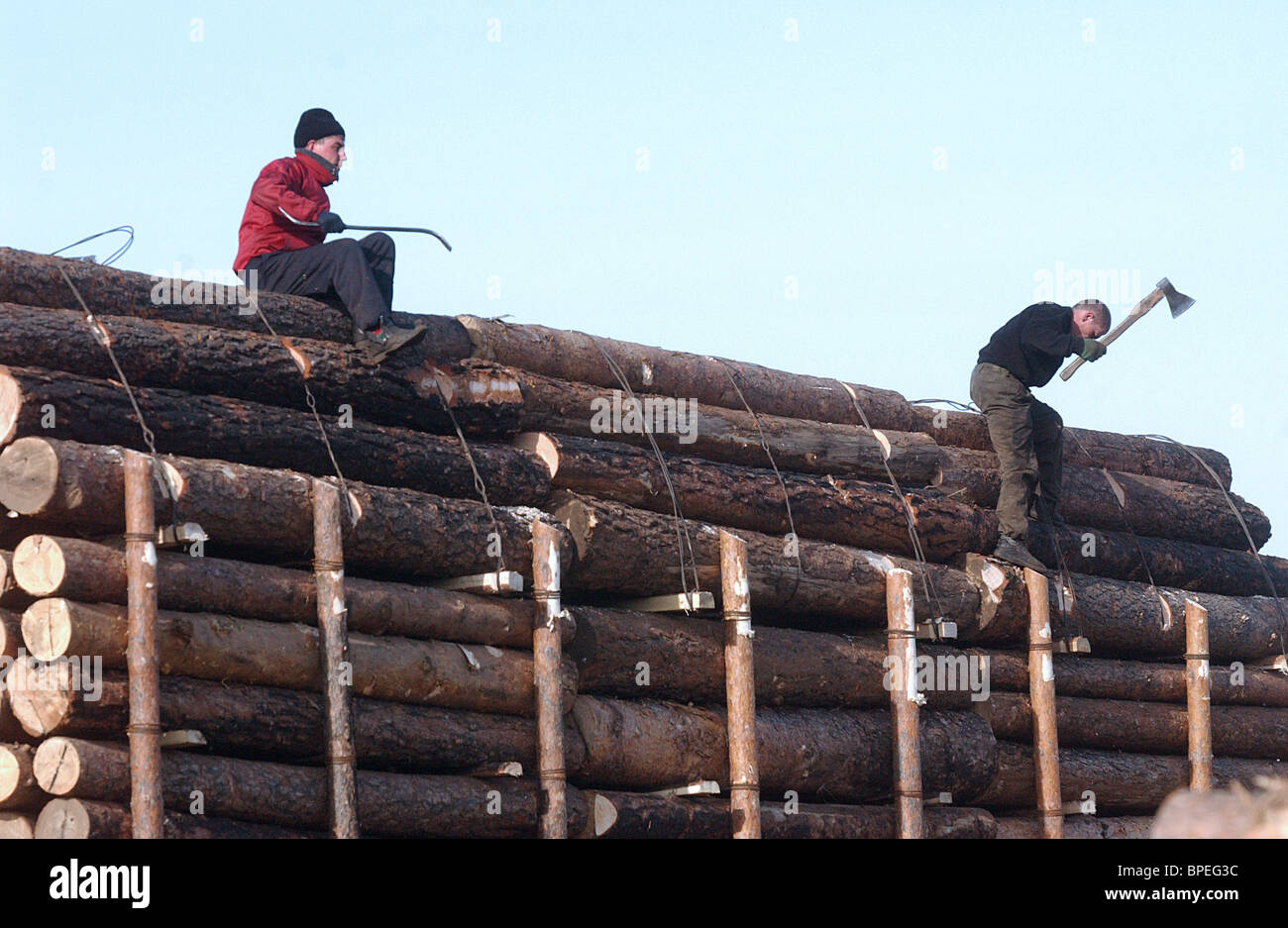 Loading Timber High Resolution Stock Photography and Images - Alamy