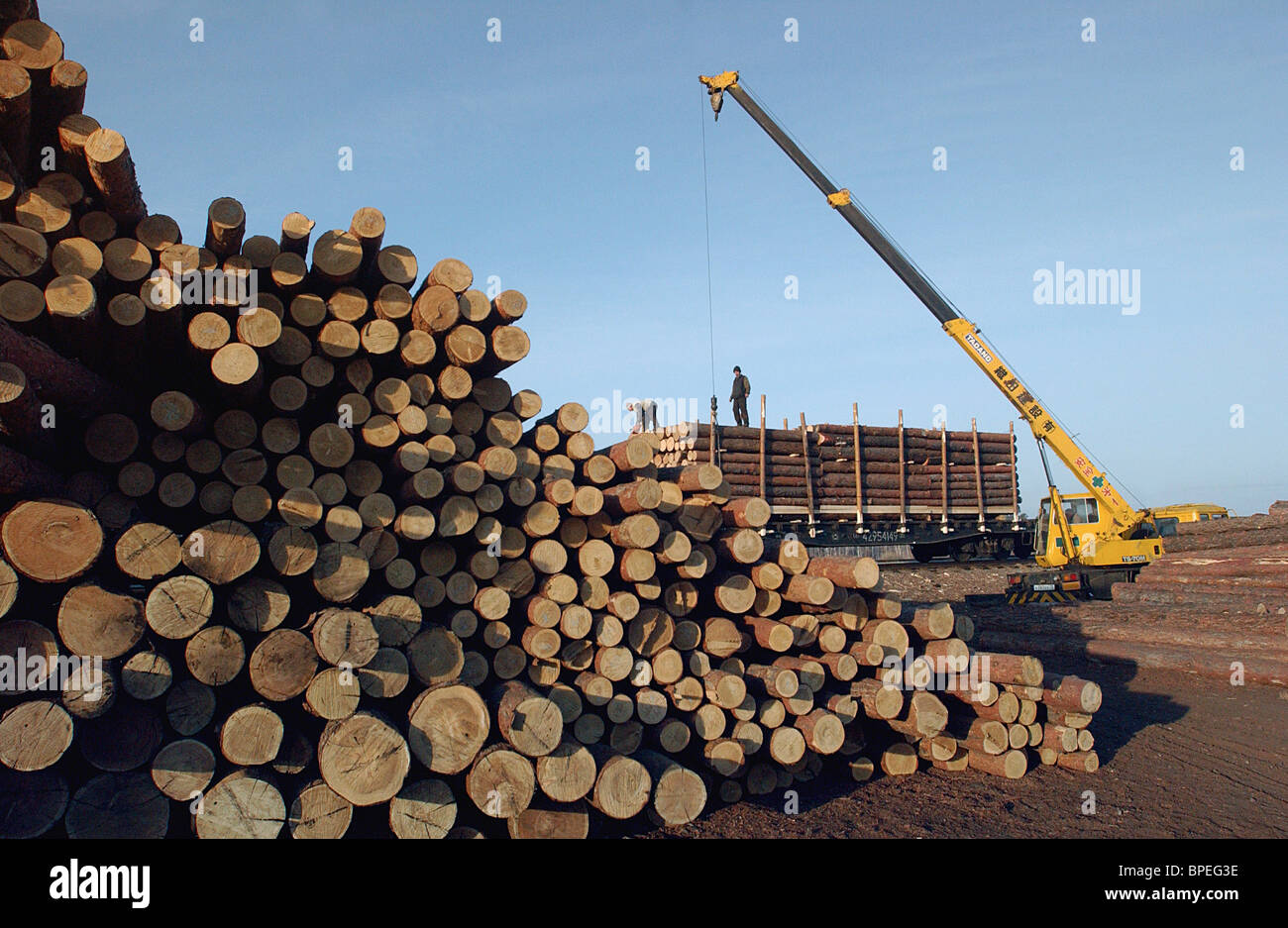 Loading Timber High Resolution Stock Photography and Images - Alamy