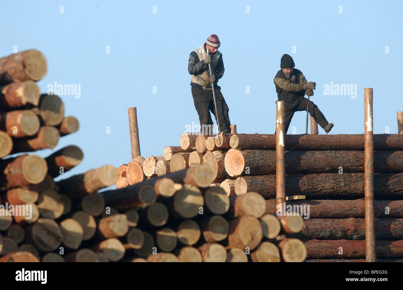 Loading Timber High Resolution Stock Photography and Images - Alamy