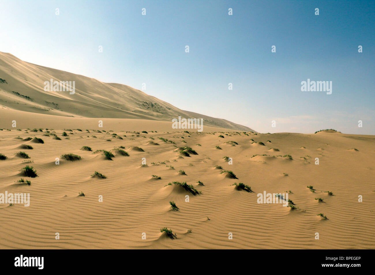 Dunes, Gobi desert, Mongolia Stock Photo - Alamy