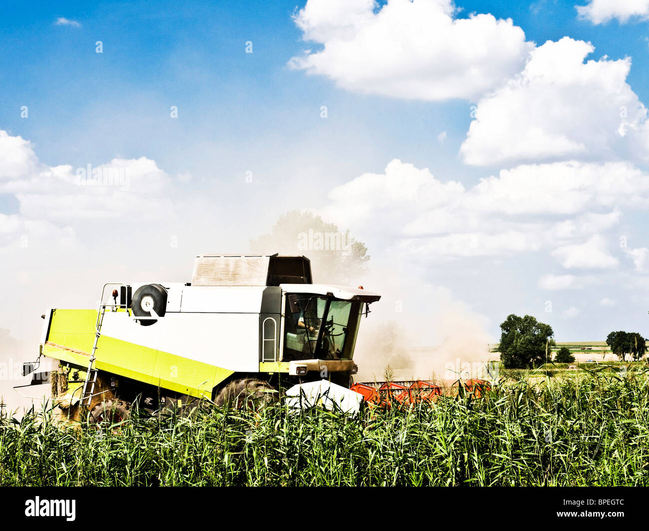 Gathering wheat hi-res stock photography and images - Alamy
