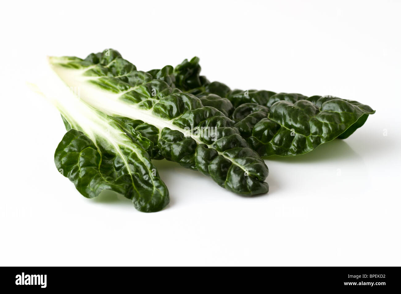 Silverbeet leaves hi-res stock photography and images - Alamy