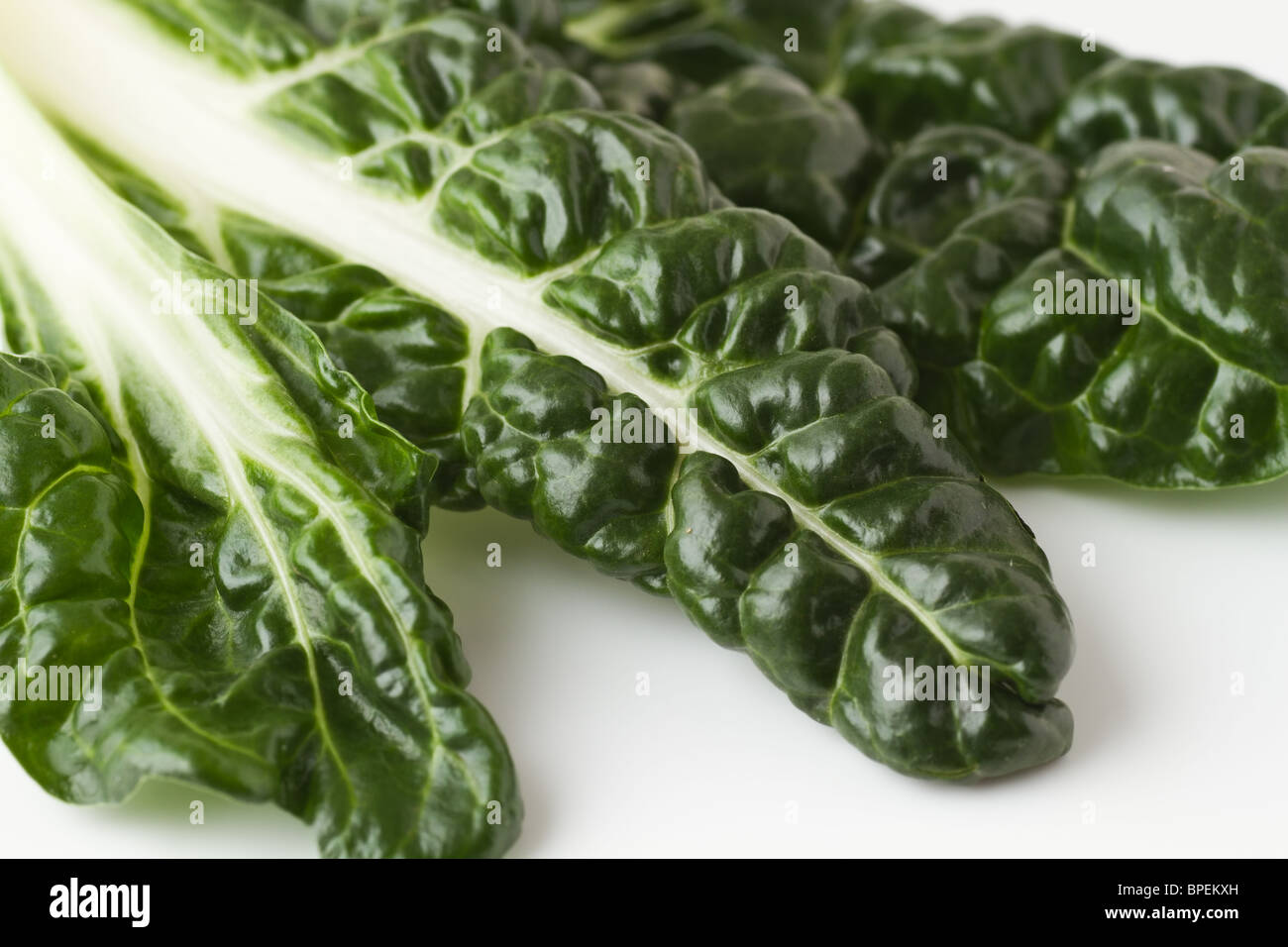 Silverbeet leaves hi-res stock photography and images - Alamy