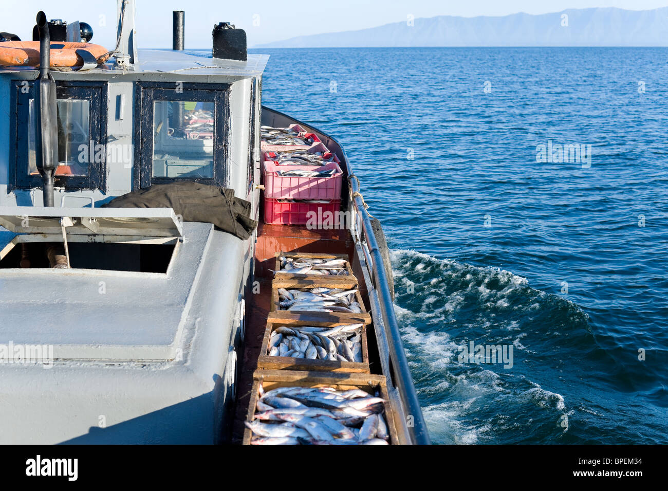 a boat carries boxes with fresh fish, just caught Stock Photo - Alamy