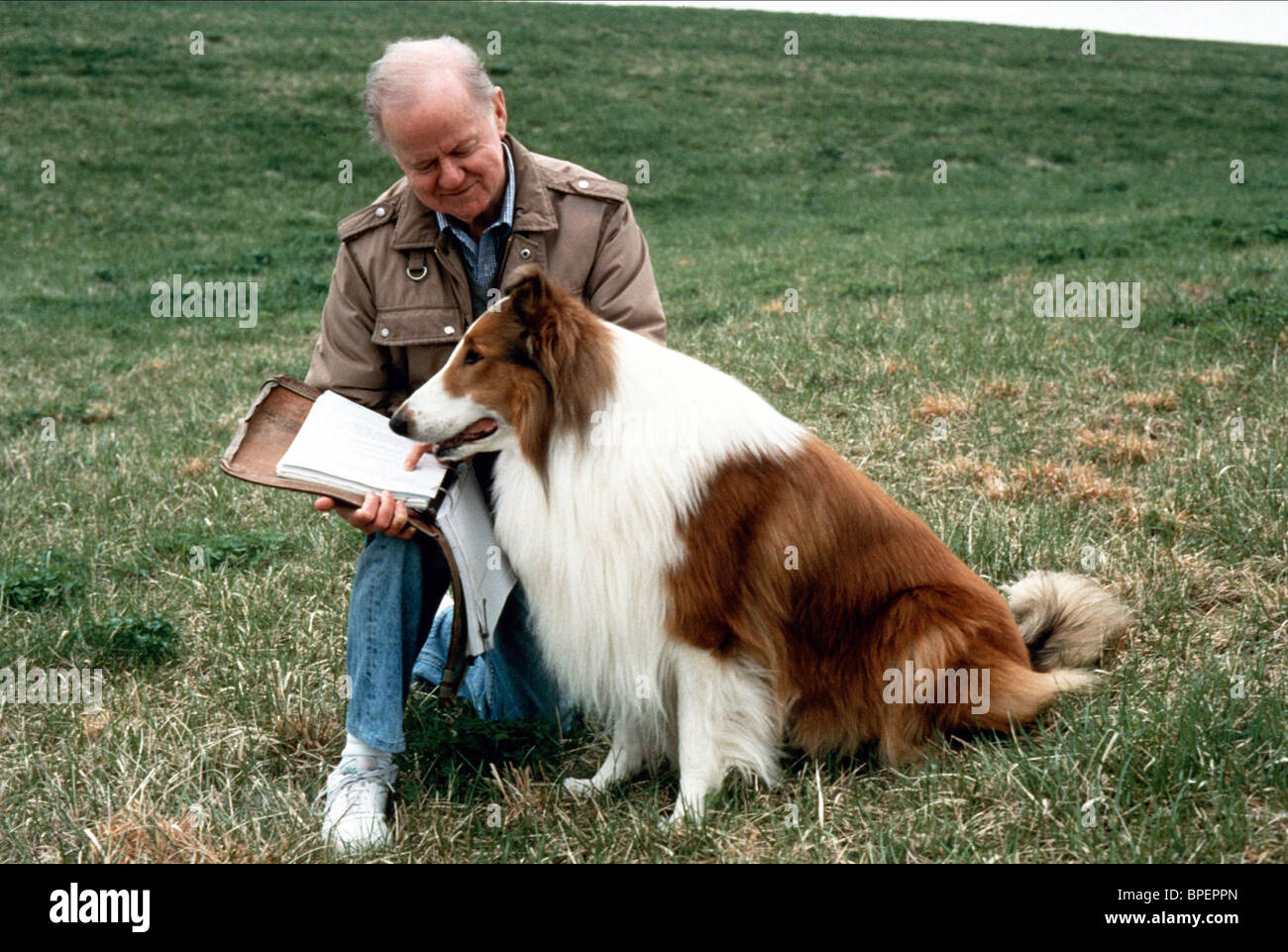 Petrie At High Resolution Stock Photography and Images - Alamy