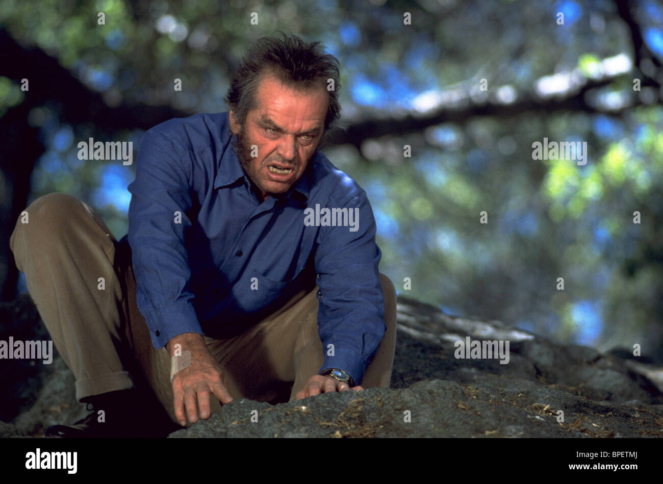 Jack Wolf High Resolution Stock Photography and Images - Alamy