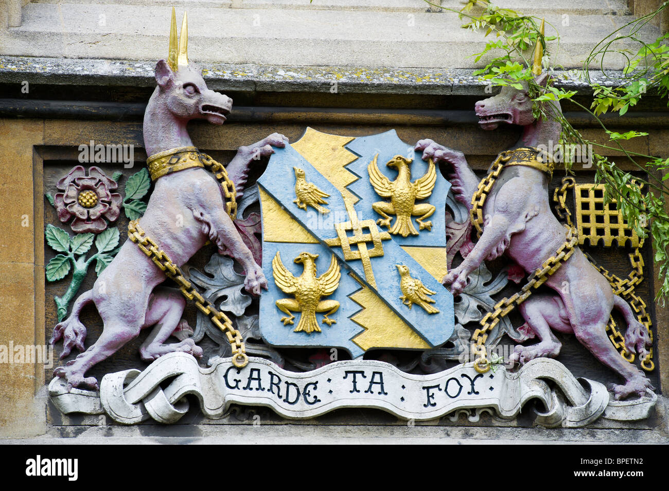 College emblem hi-res stock photography and images - Alamy