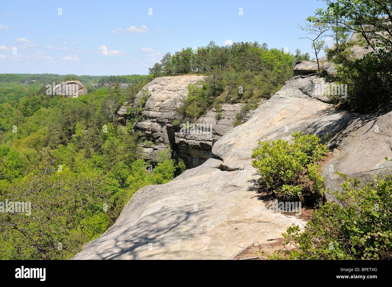 Sandstone cliffs in the Red River Gorge Geological Area in the Daniel ...