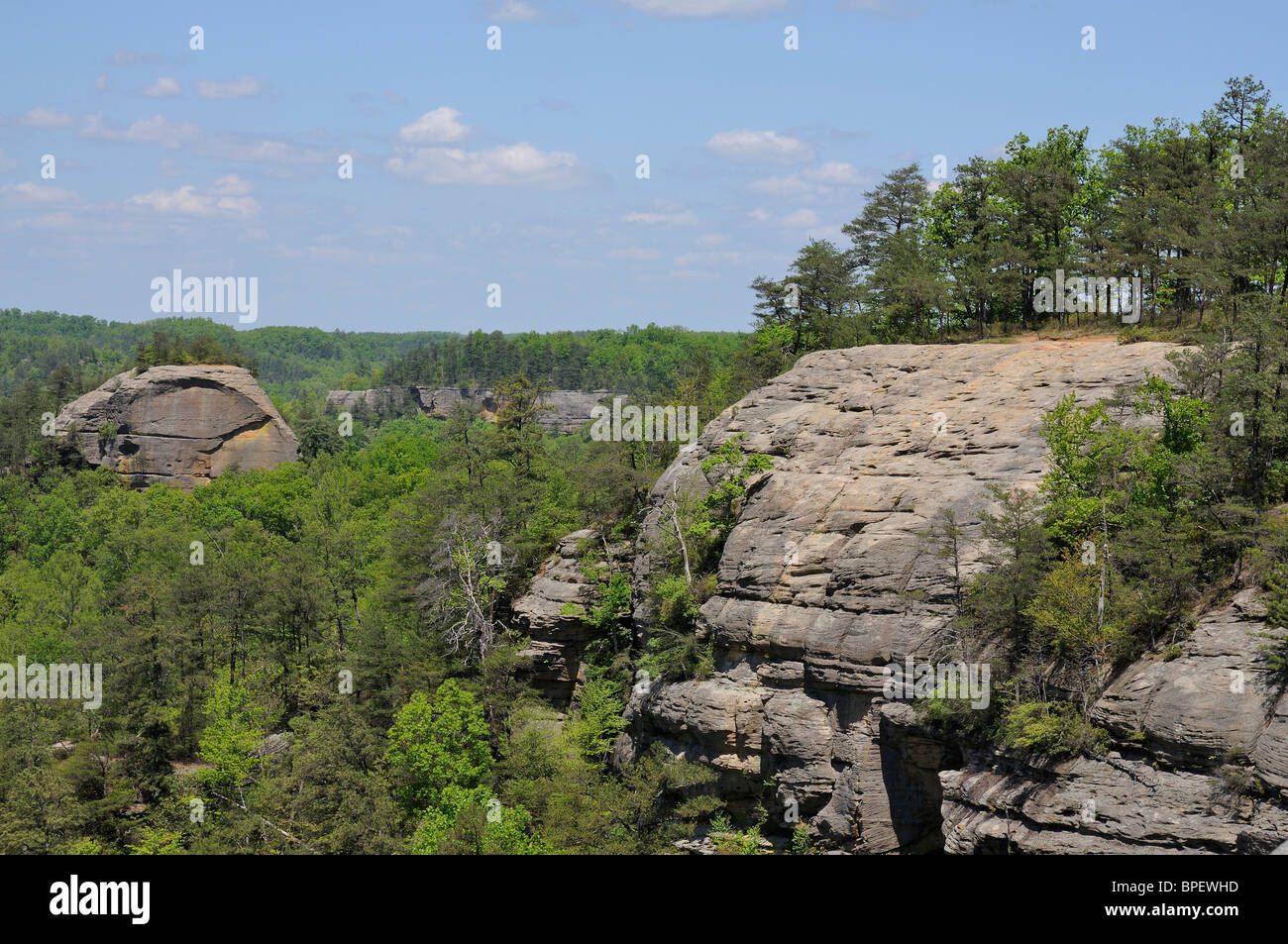 Sandstone cliffs in the Red River Gorge Geological Area in the Daniel ...