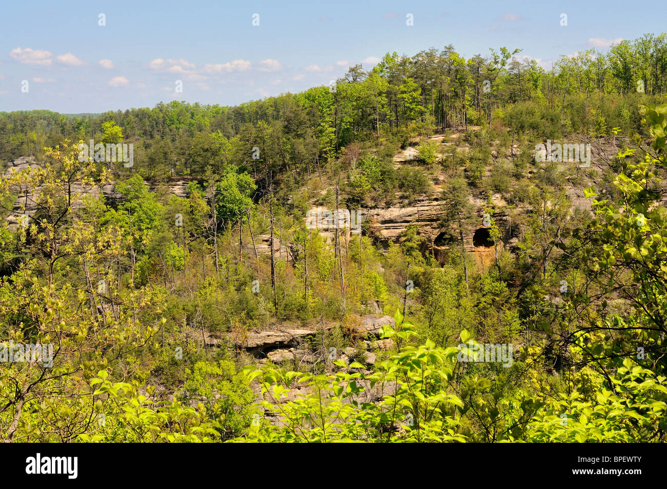 Sandstone cliffs in the Red River Gorge Geological Area in the Daniel ...