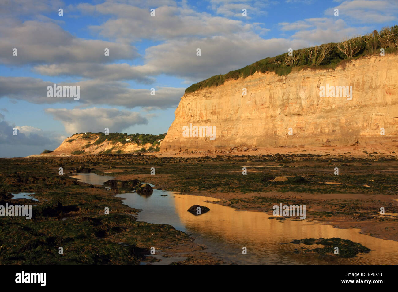 A view along part of the shoreline at Pett Level in East Sussex ...