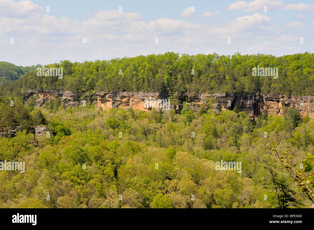Sandstone cliffs in the Red River Gorge Geological Area in the Daniel ...