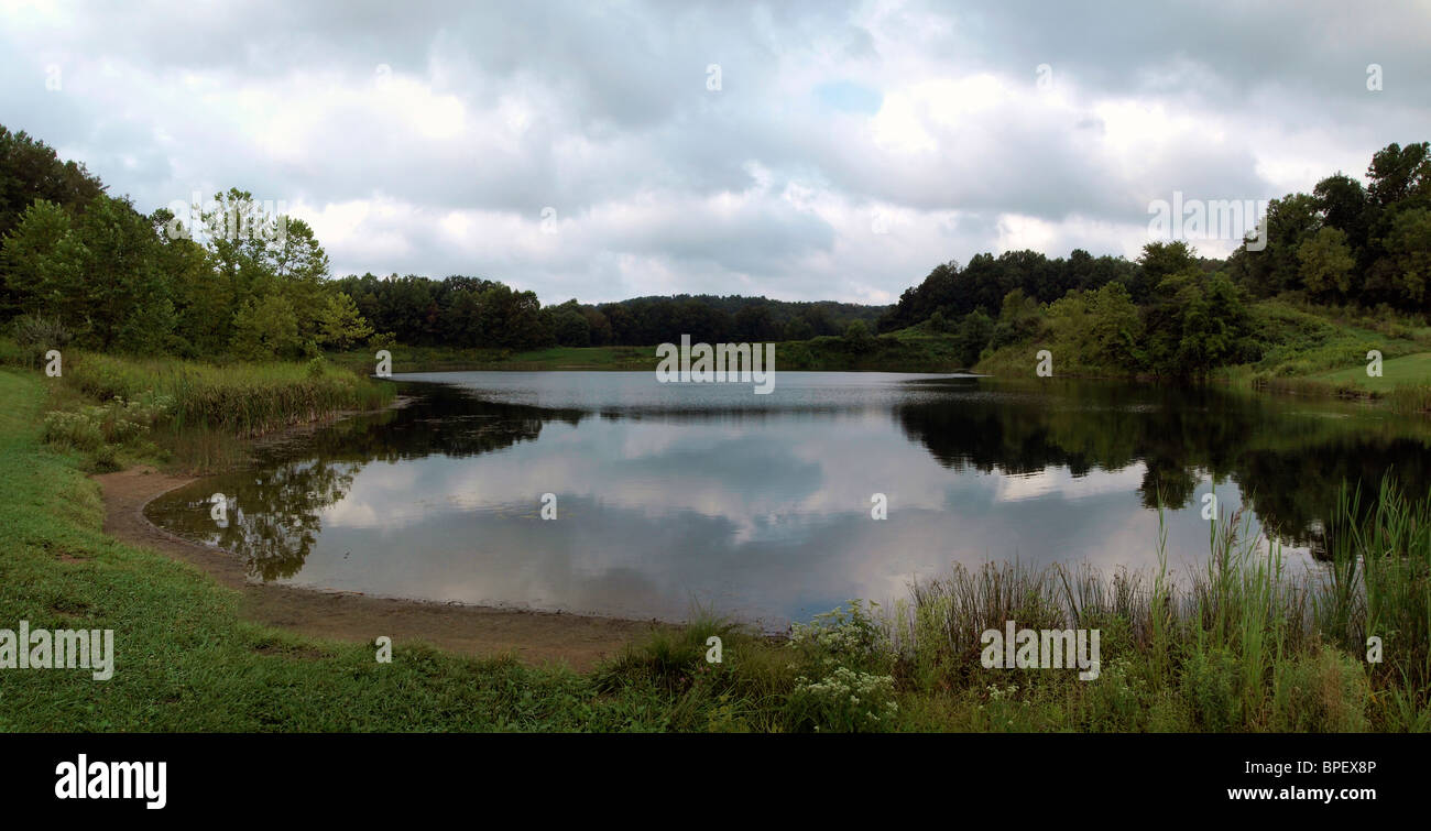 Indigo park hi-res stock photography and images - Alamy