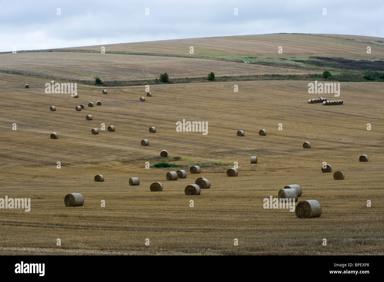 Rolled Hay Bales at Long Furlong on the South Downs in West Sussex near ...