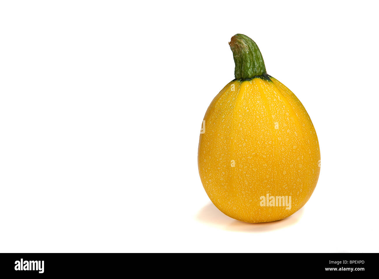 A yellow ball courgette variety on a white background with shadow Stock ...