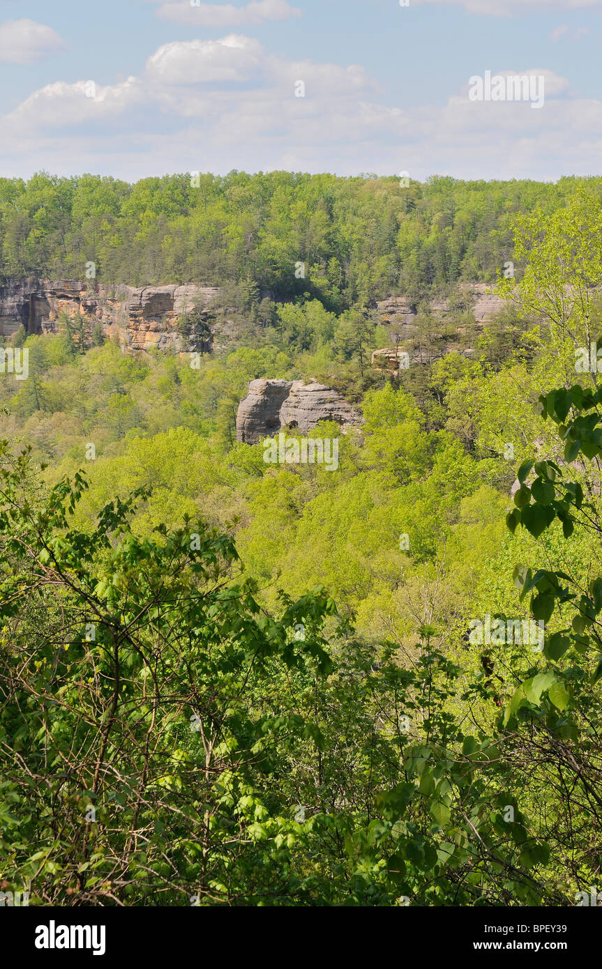 Sandstone cliffs in the Red River Gorge Geological Area in the Daniel ...