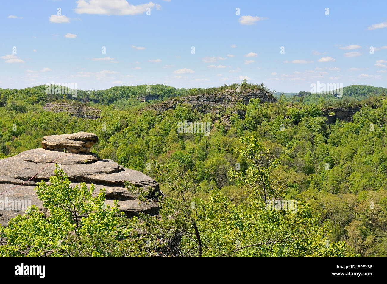 Sandstone cliffs in the Red River Gorge Geological Area in the Daniel ...