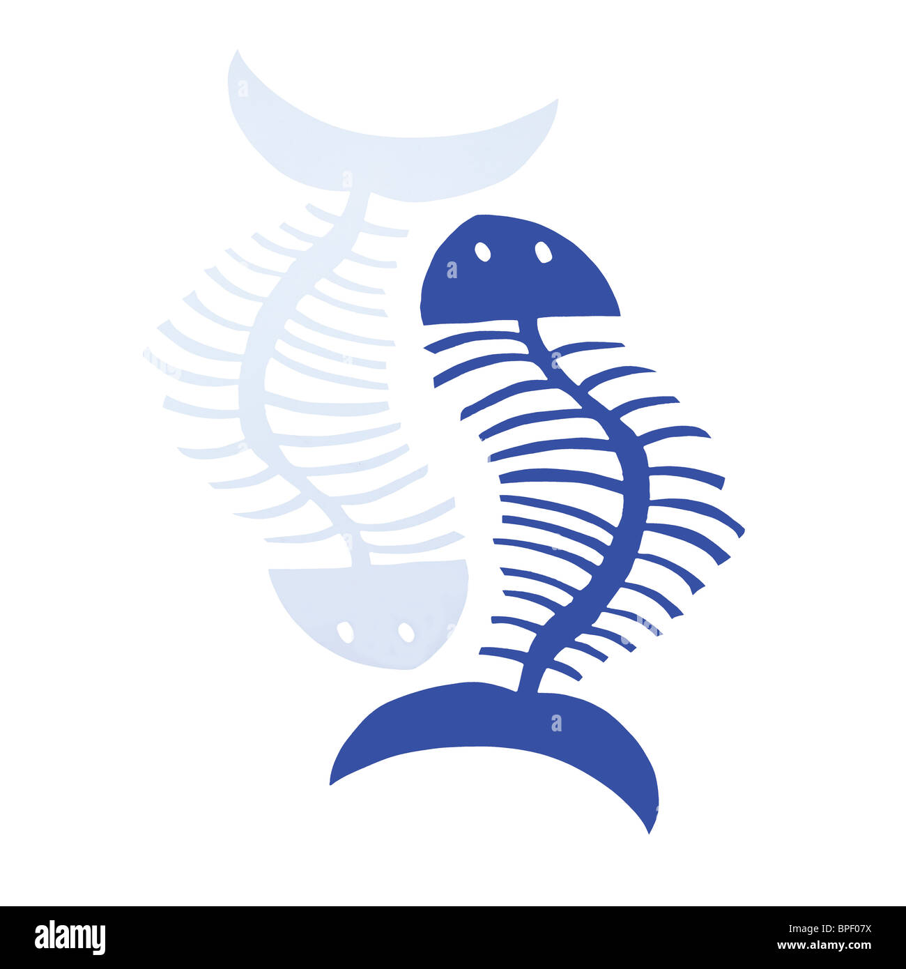 two fish at white blank Stock Photo - Alamy