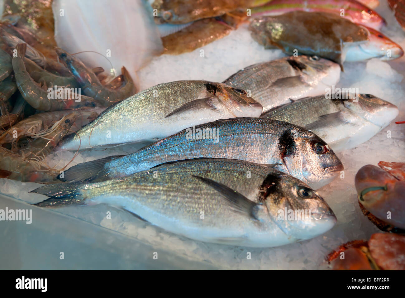 Japan supermarket fish hi-res stock photography and images - Alamy