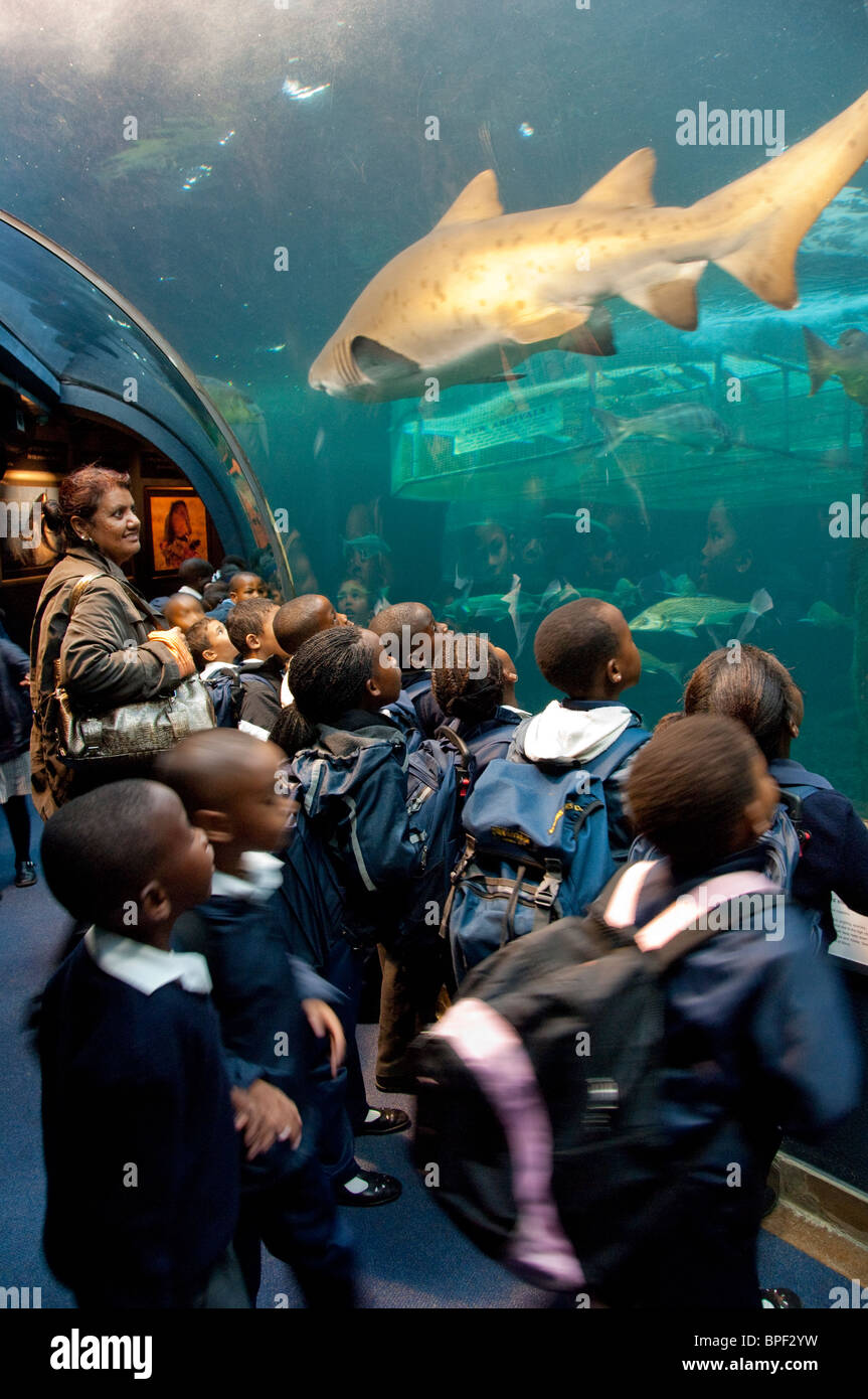 South Africa, Cape Town. Two Oceans Aquarium, Victoria & Alfred ...