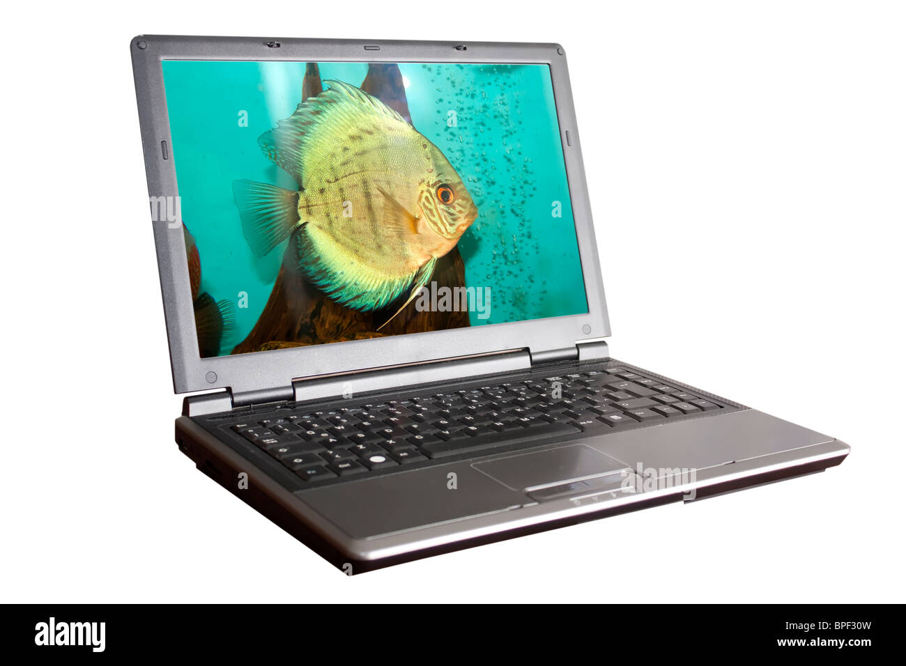fish in the laptop Stock Photo - Alamy