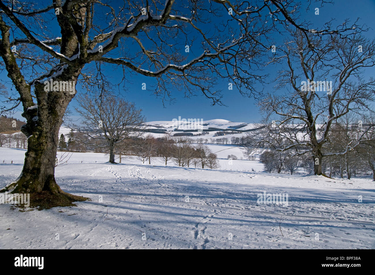 The Grounds of Craigevar Castle near Alford, Aberdeenshire, Grampian ...