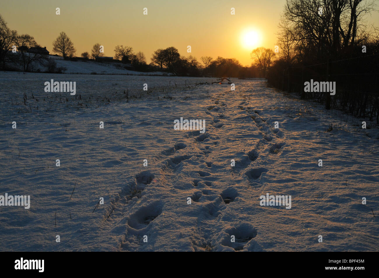 Snow footsteps hi-res stock photography and images - Alamy