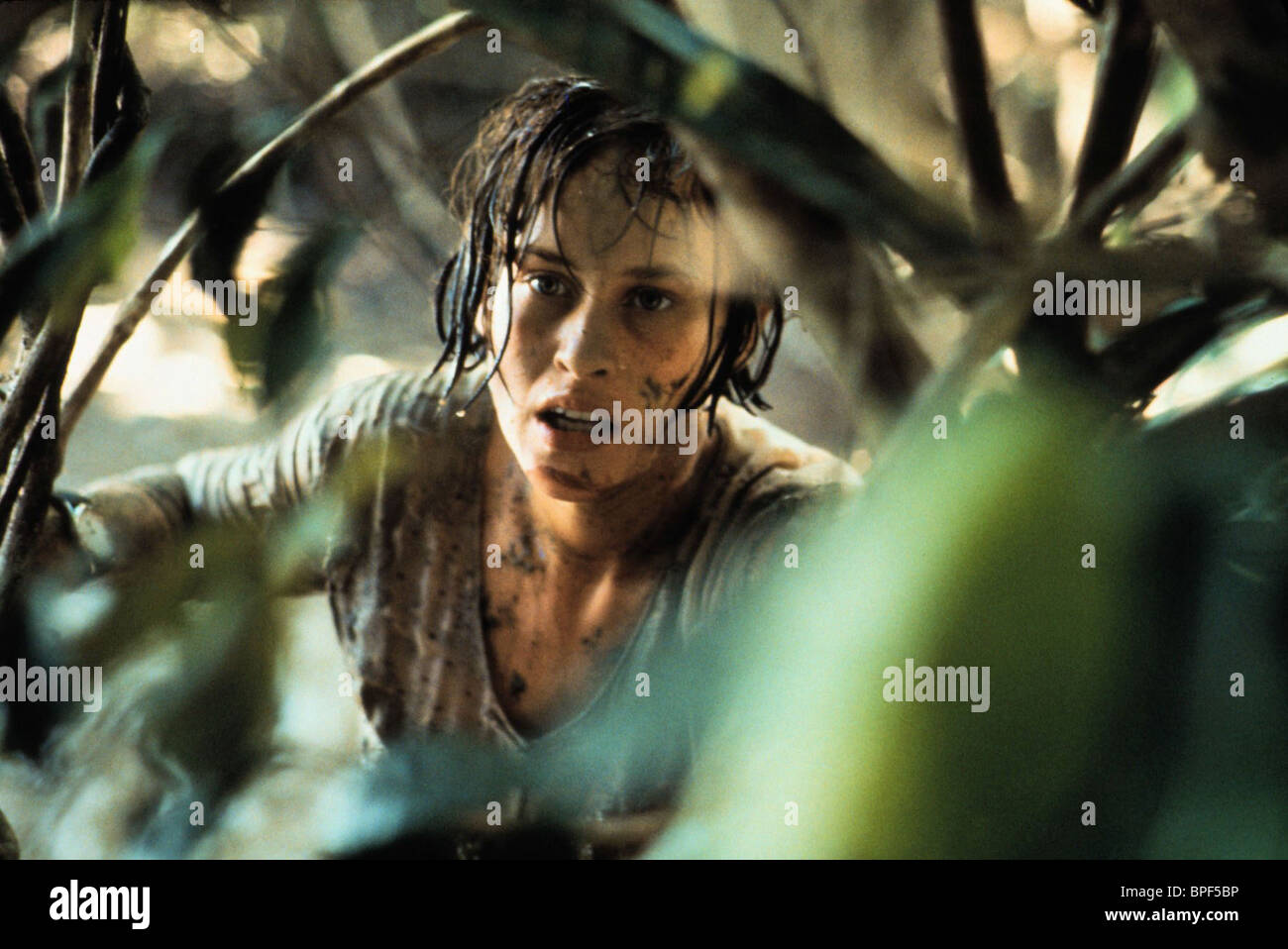 24 May 1995 High Resolution Stock Photography and Images - Alamy