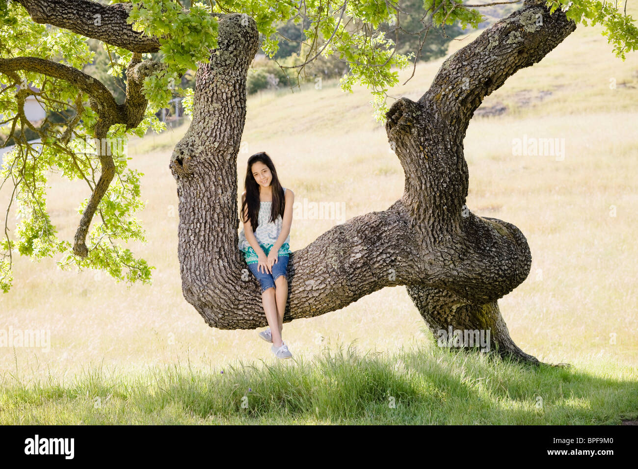 Child sitting in tree legs hi-res stock photography and images - Alamy