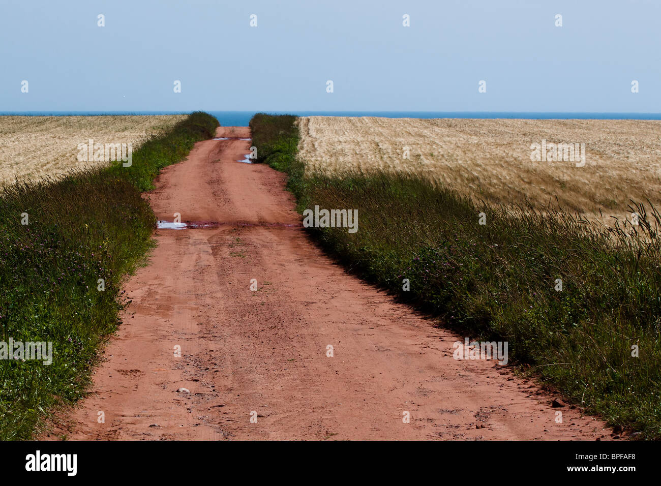 A road of red sand through a farmer's field ends at the ocean Stock ...