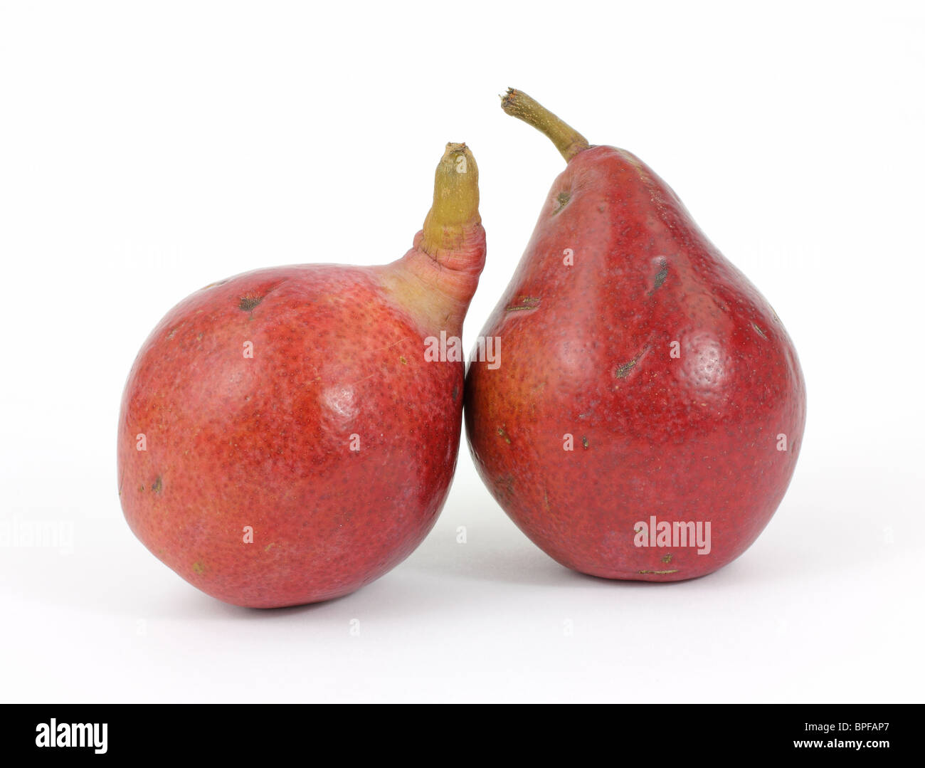 Two red pears Stock Photo - Alamy