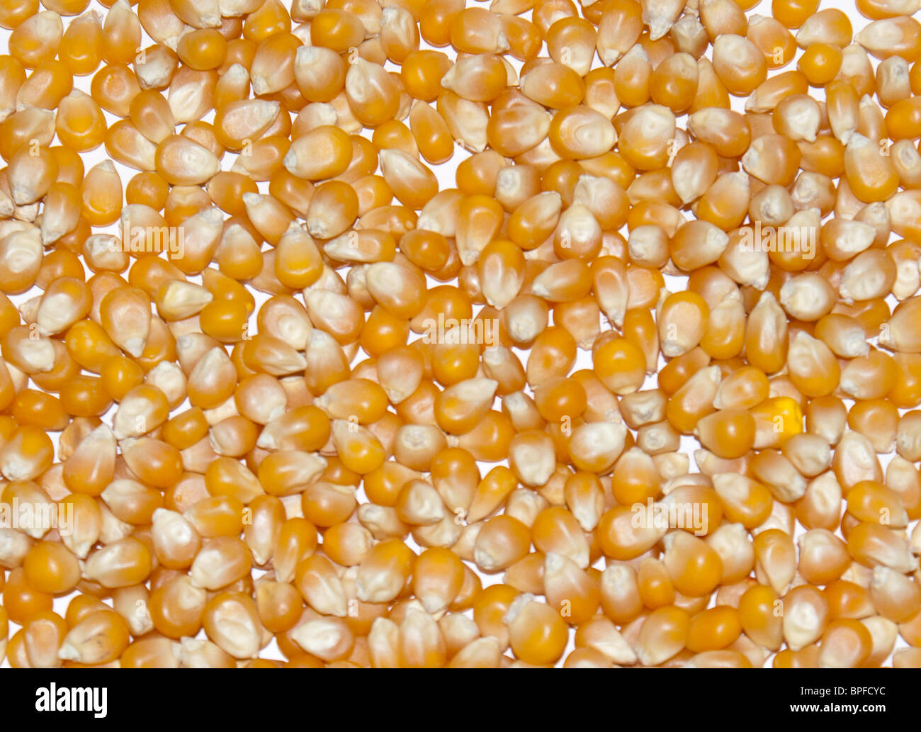 Popcorn kernel background Stock Photo - Alamy