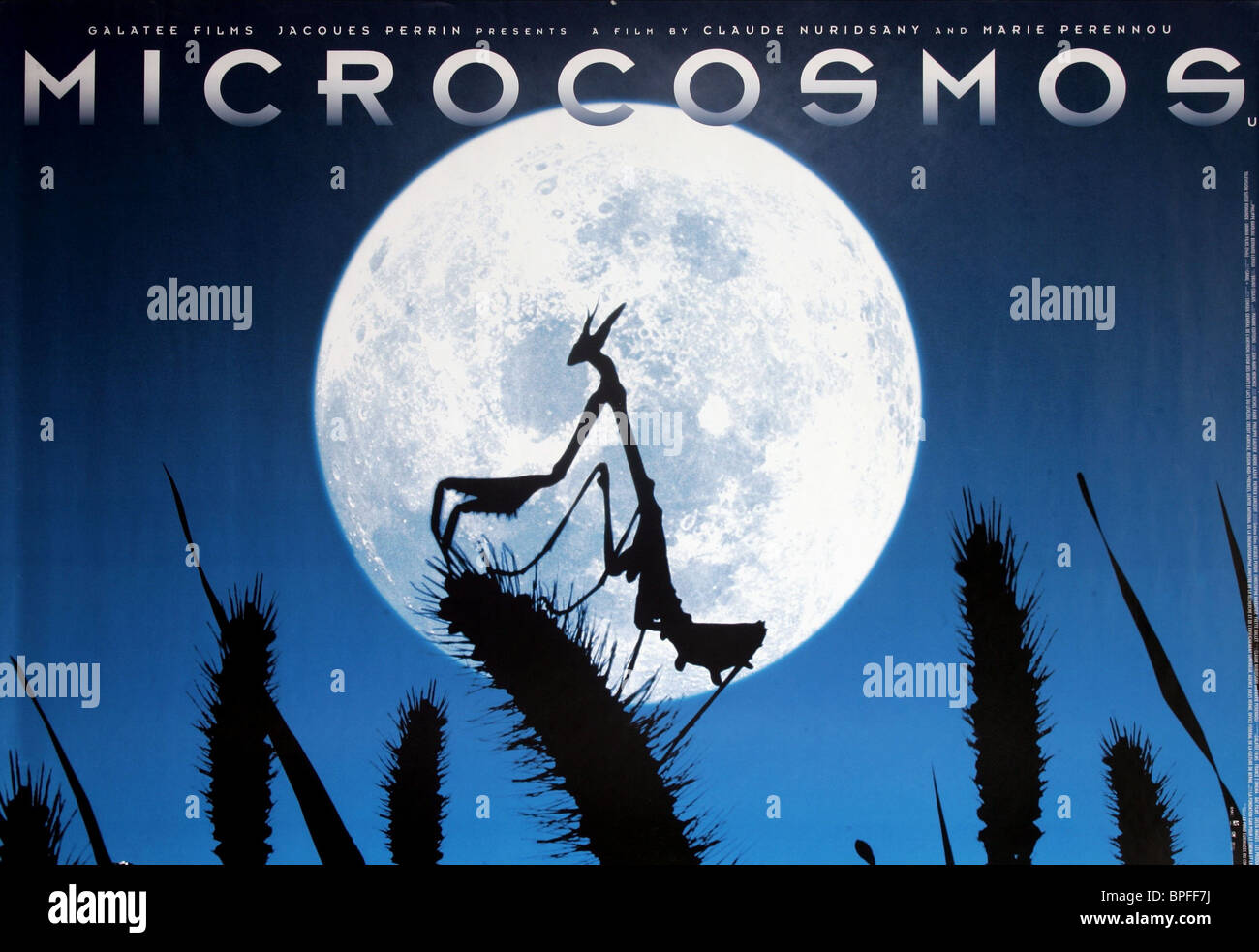 Microcosmos 1996 Claude Nuridsany High Resolution Stock Photography and ...