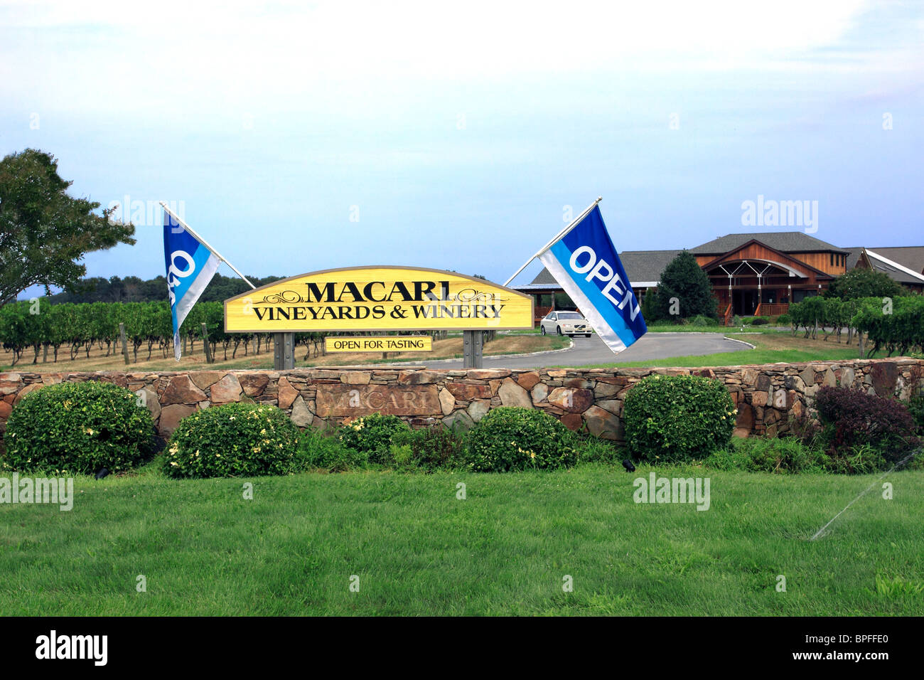 Macari vineyards hi-res stock photography and images - Alamy