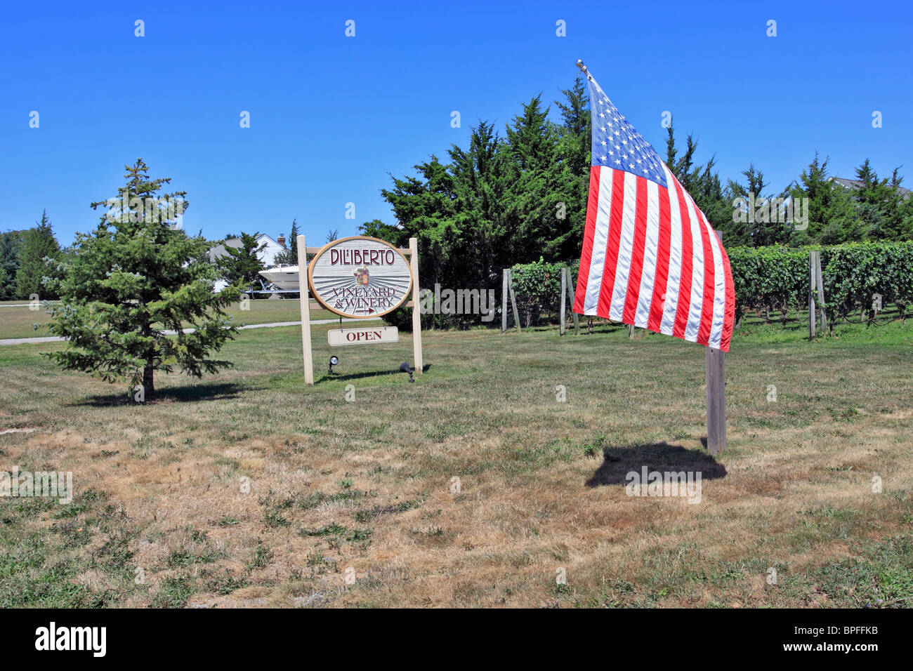 Diliberto winery and vineyards Jamesport north fork of eastern Long ...