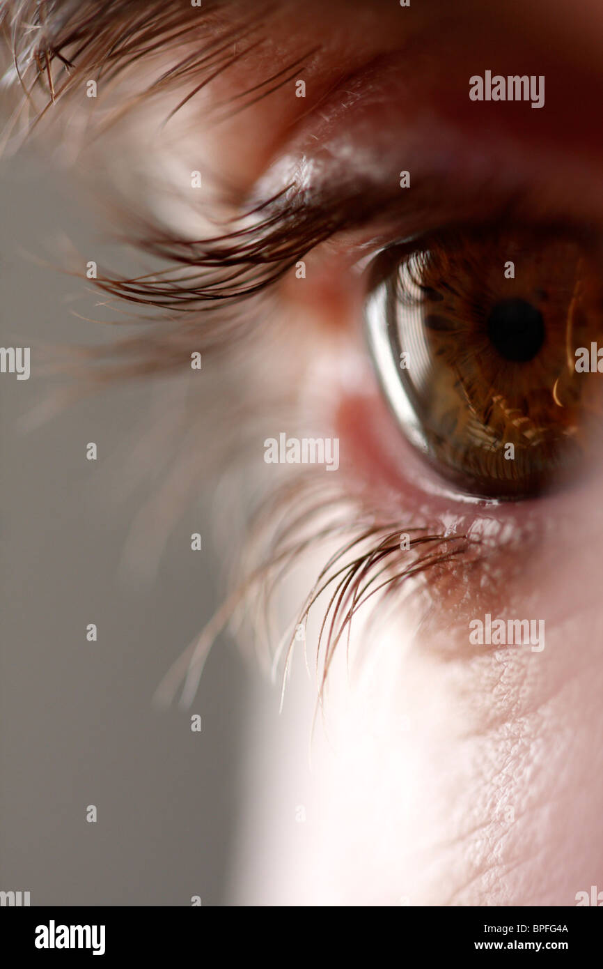 Eye with vertical pupil hi-res stock photography and images - Alamy