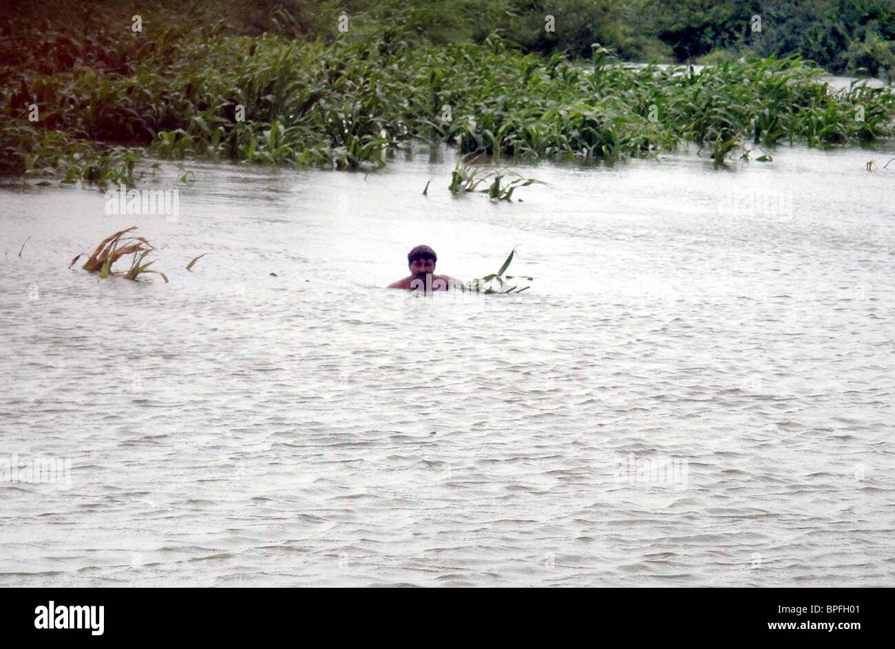 Resident of Molchand move towards safe place through flood waters as ...