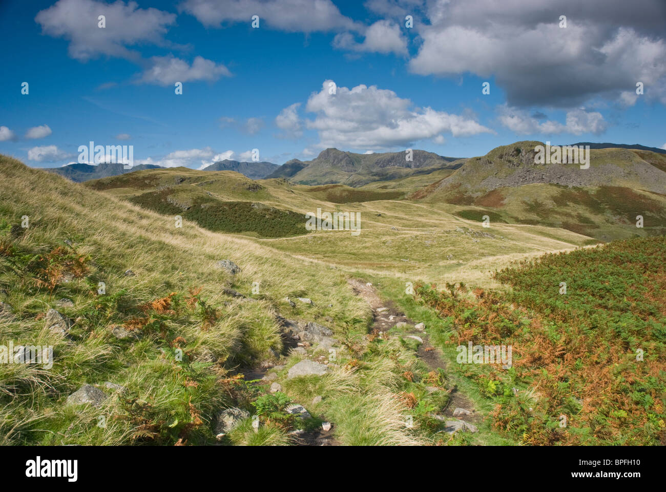 Harrison pike hi-res stock photography and images - Alamy