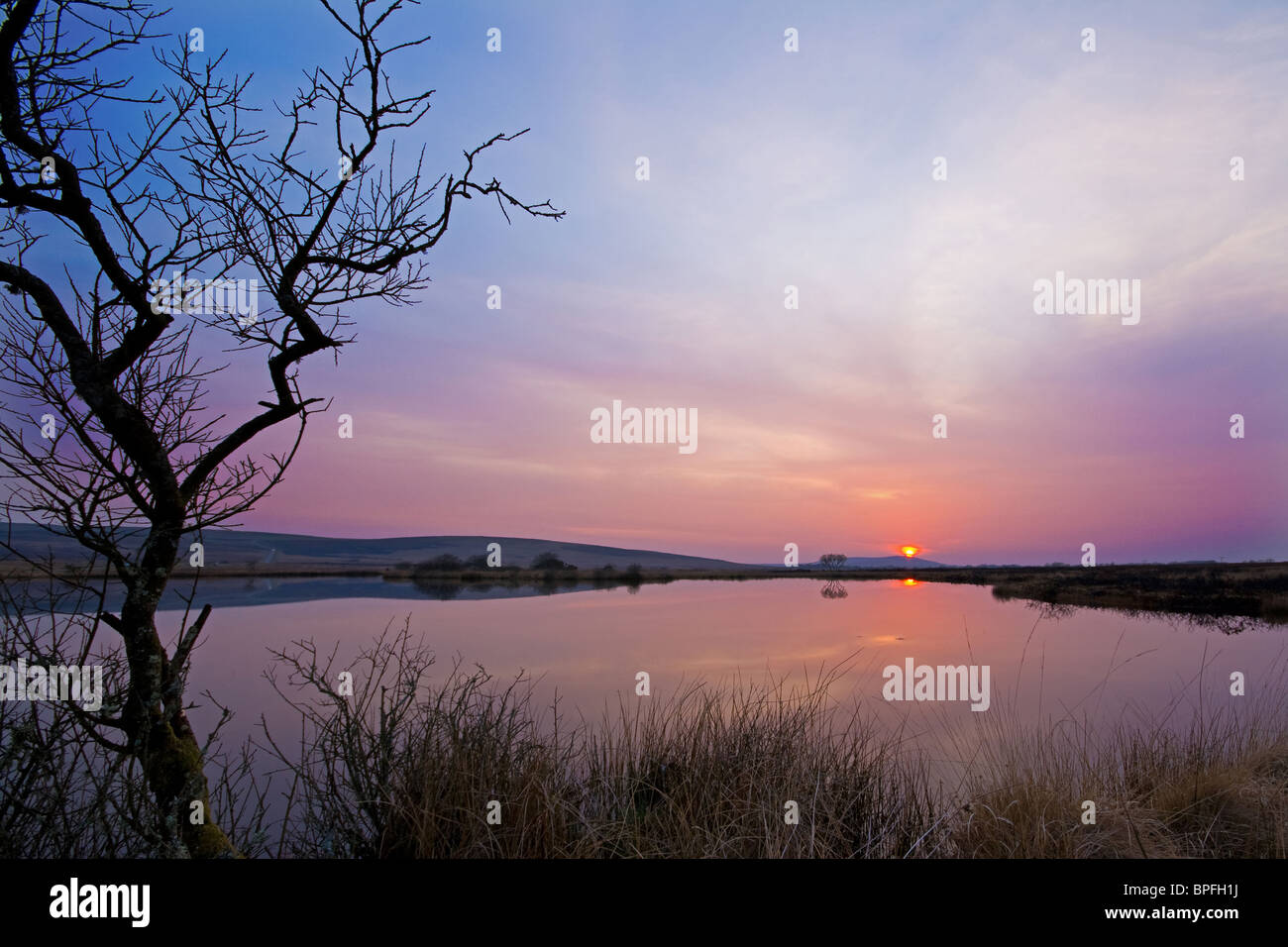 Broad Pool, Gower, South Wales Stock Photo - Alamy