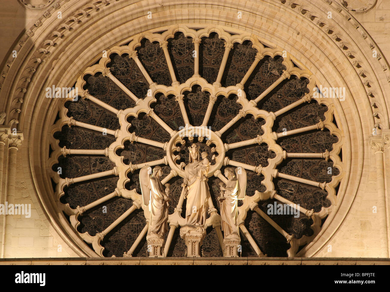 Rosette Form High Resolution Stock Photography and Images - Alamy