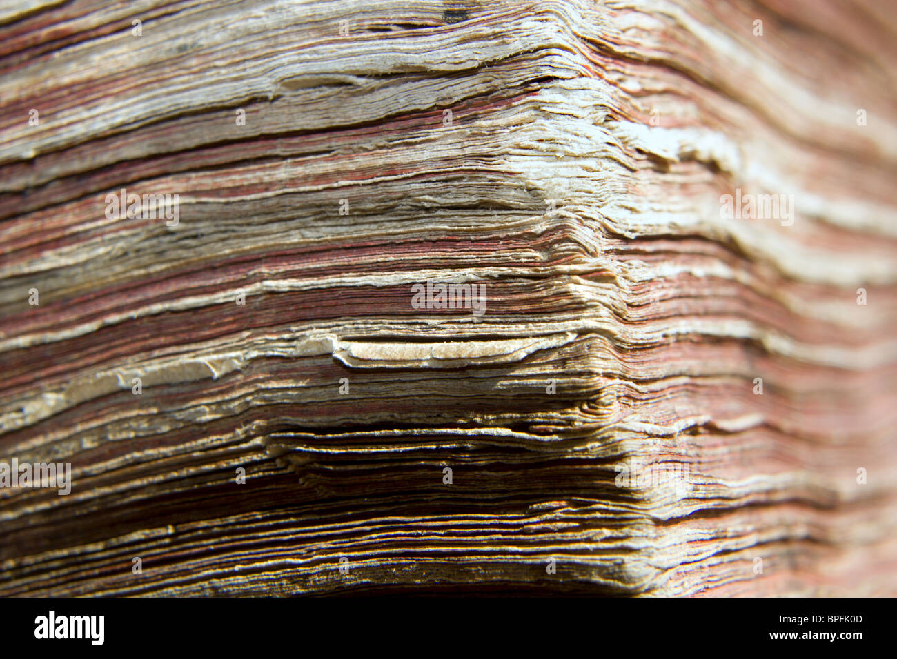 Old bible hi-res stock photography and images - Alamy