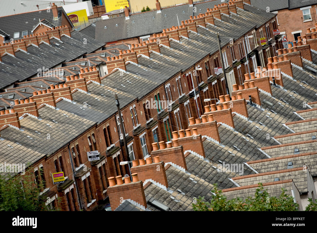 slate roof tops on Victorian terraced houses Stock Photo - Alamy