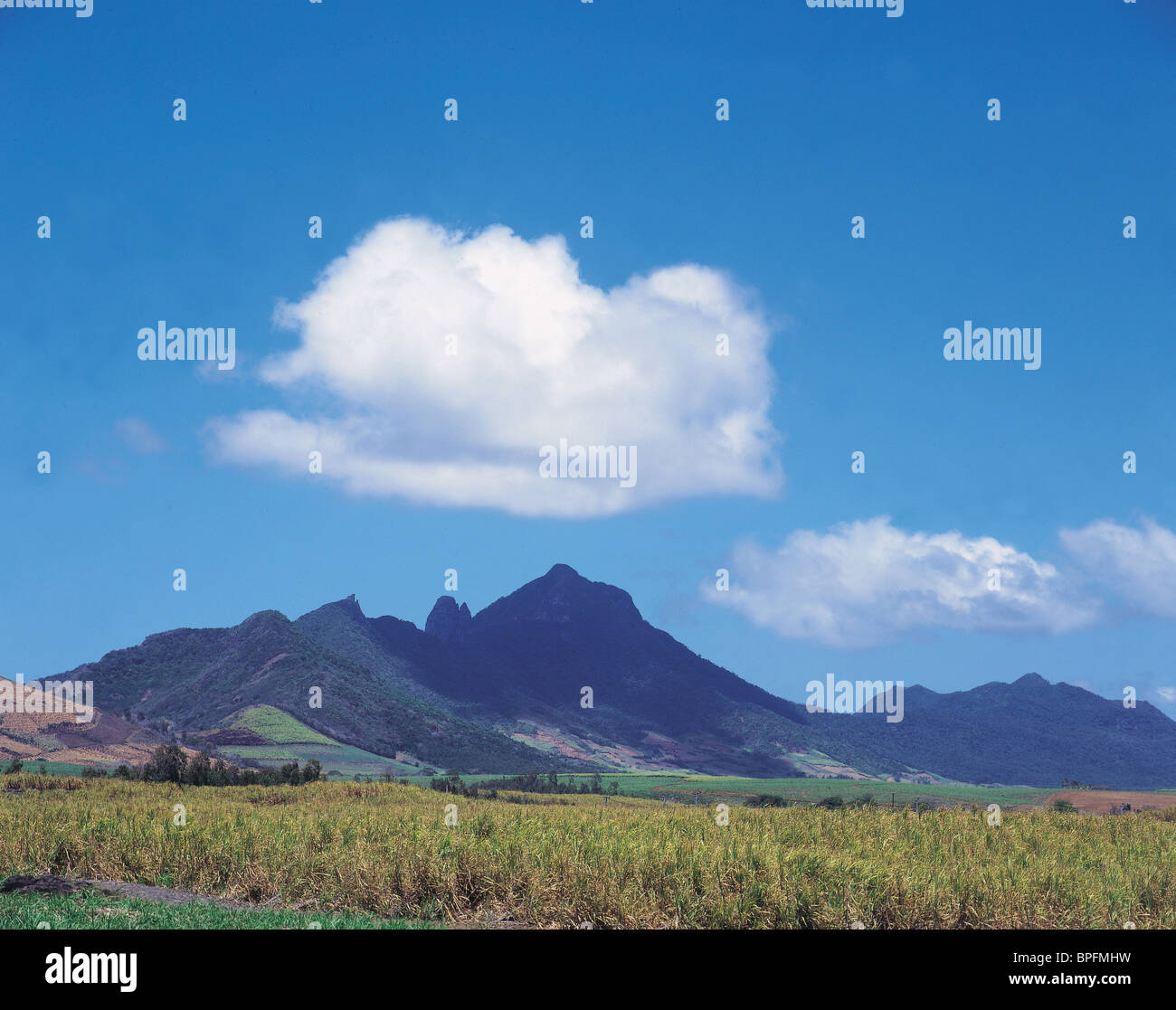 Beau Rivage, Mauritius Stock Photo - Alamy